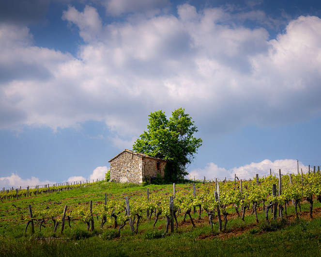 Using Gestalt Theory for Composition in Landscape Photography | Fstoppers