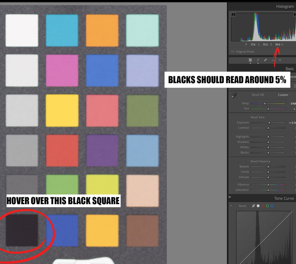 Is This the Answer to All Your Color Issues? We Review Datacolor’s ...