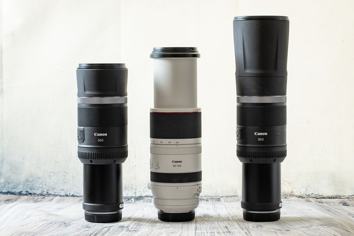 Review of the Canon RF 200-800mm f/6.3-9 IS USM | Fstoppers