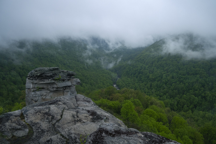 Five Essential Tips for Protecting Your Camera in the Rain | Fstoppers