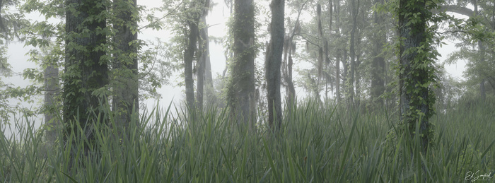 Spring Fog in the Wetlands - Ed Sanford on Fstoppers