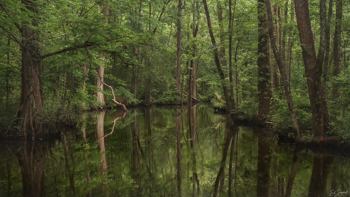 Bethel Creek - Ed Sanford on Fstoppers