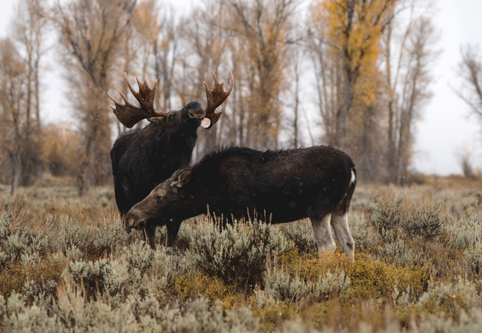 The Great Outdoors Contest Entry by Tim Fuchs | Fstoppers