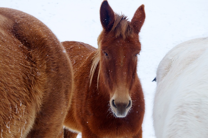 Soft Light Contest Entry by Mark Riedy | Fstoppers