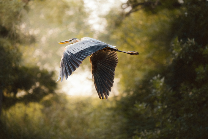 Flyby - Joe Stroud on Fstoppers