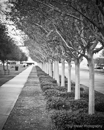 City Park - Troy Weber on Fstoppers
