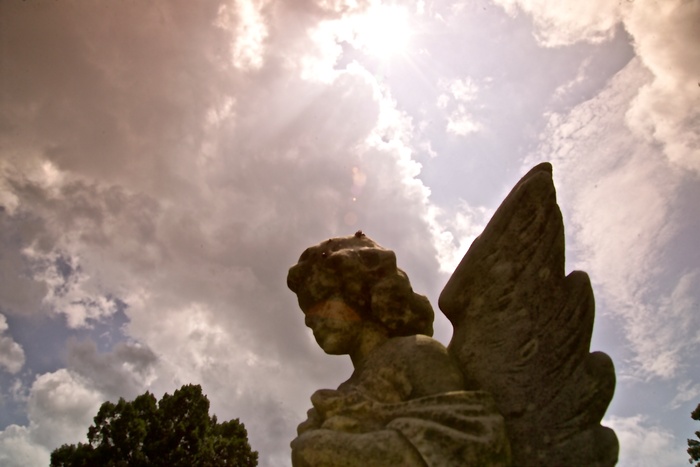 Heavenz Angel. - Zachary Sprinkles on Fstoppers