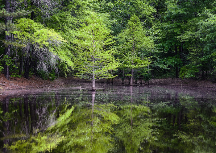 Water's Edge - Steven Nelson on Fstoppers