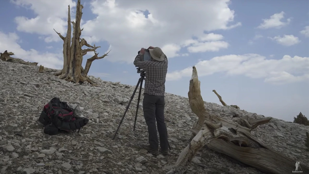 The Process of Focus Stacking Large Format Film | Fstoppers