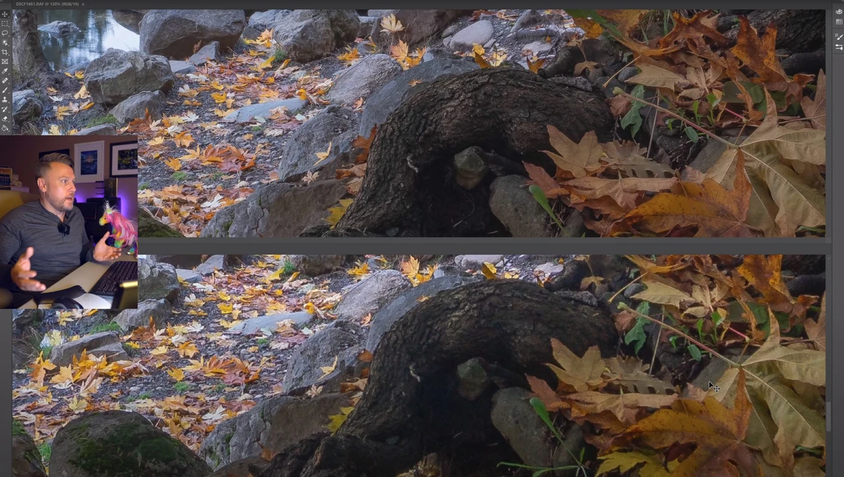 Can You Really Tell the Difference Between Medium Format and APS-C ...