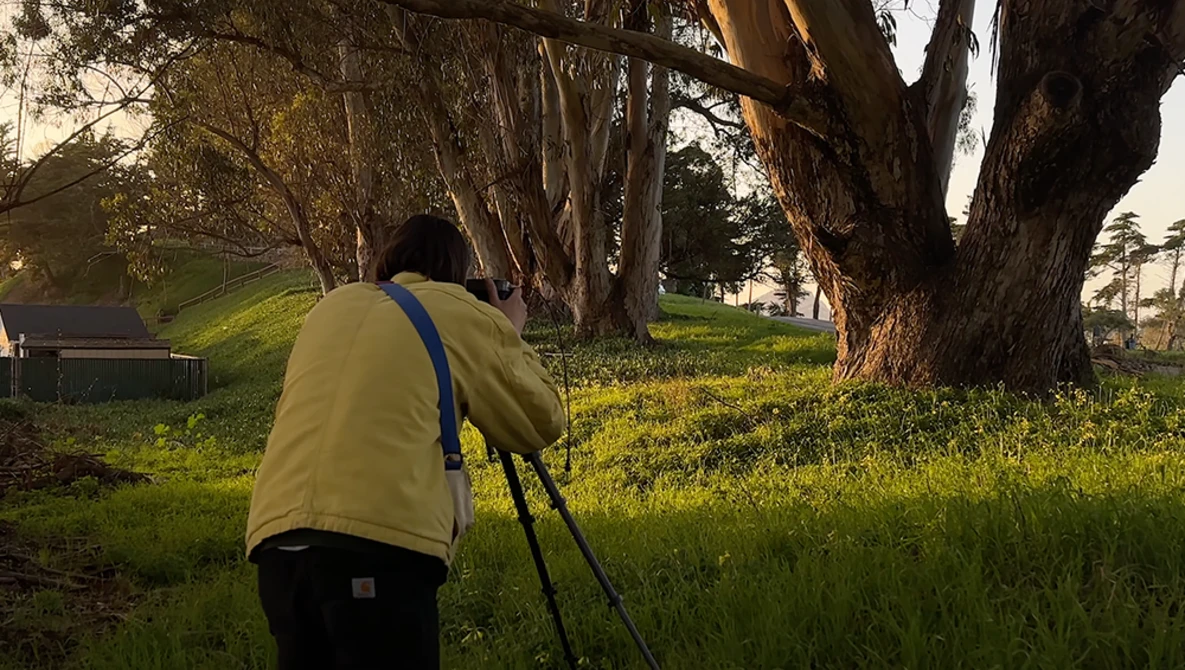 The Power of Long-Term Photography Projects: Finding Fulfillment and ...