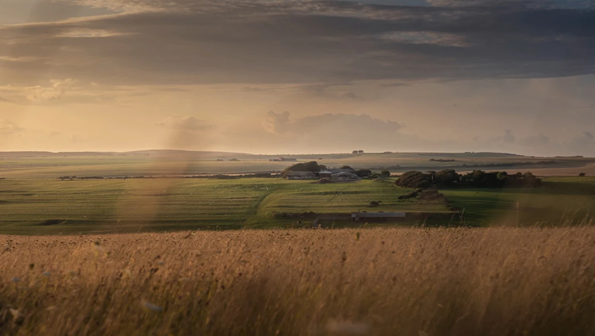 Editing Landscape Photos in Lightroom: Basics to Advanced Techniques ...