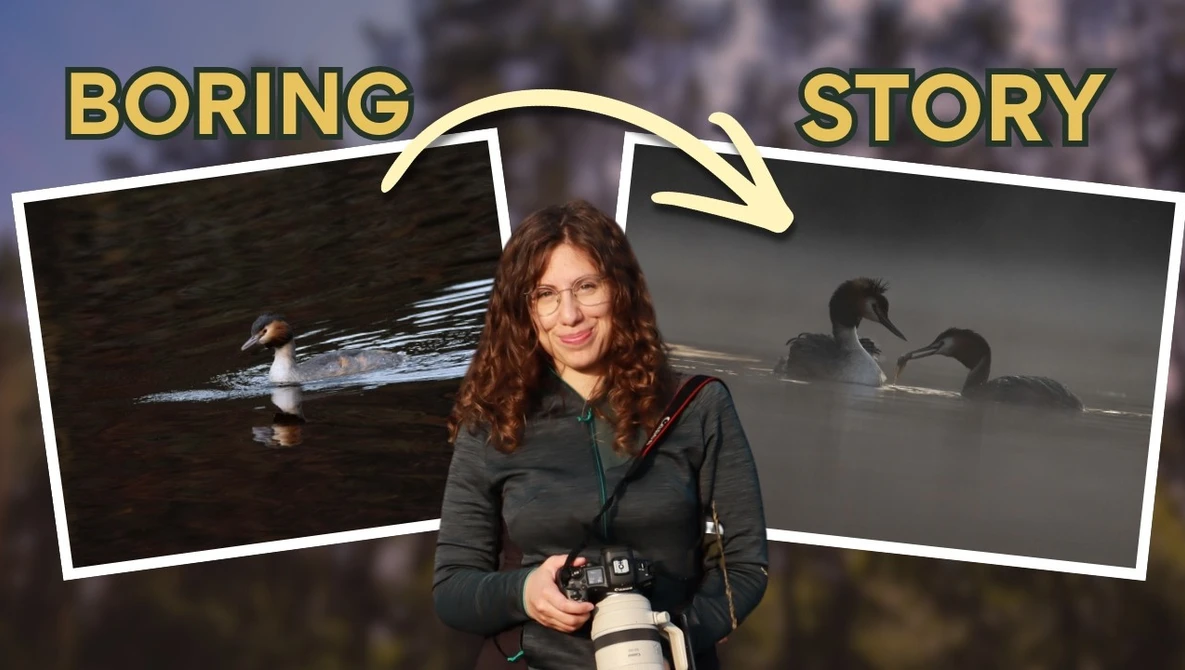 Why Sharp Bird Photos Still Feel Boring and How to Fix Them | Fstoppers
