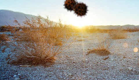 [NSFW] 'Nutscaping' Is a New Phenomenon That You Don't Need to Be Aware ...