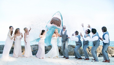 Photoshop Contest - Submit Your Most Creative Wedding Photoshops ...