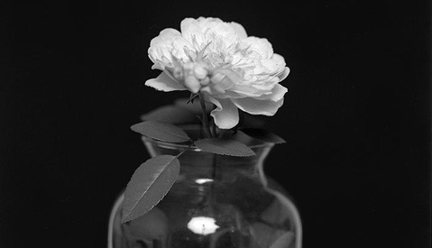 The Awesome Highlights Power of Negative Film | Fstoppers