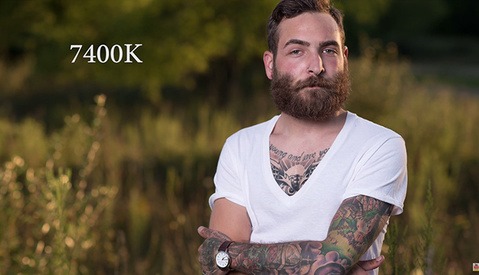 How to Use CTO and CTB Gels to Change the Color of Your Background ...