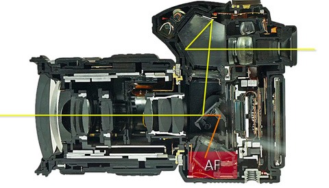 The Sony a9 Continuous Eye Autofocus Looks Amazing | Fstoppers