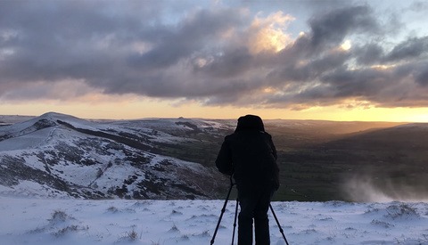 Wildlife Photography: Finding the Perfect Backdrop With Patience ...