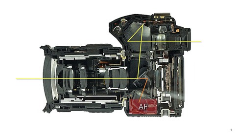 Why You Need to Know the Difference Between Phase and Contrast ...