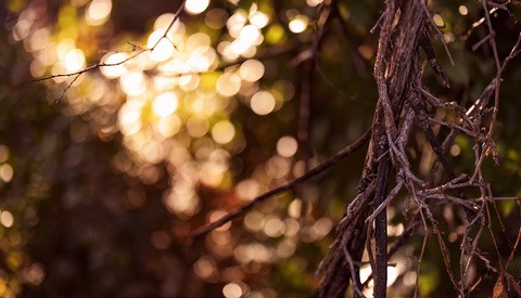 Don't Miss These Incredible High-Resolution Images of the Sun | Fstoppers