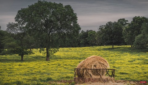 6 Beginner Editing Mistakes That Wreck Landscape Photos | Fstoppers