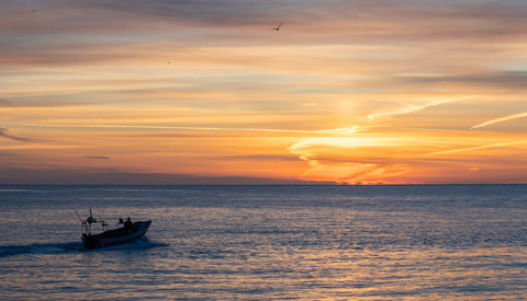 Fantastic Photography Relies More on Left and Right Than You May ...