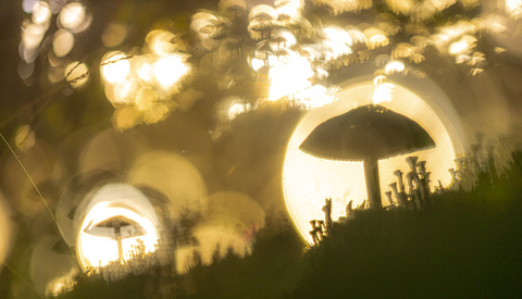 Experimenting With In-Camera Multiple Exposures | Fstoppers