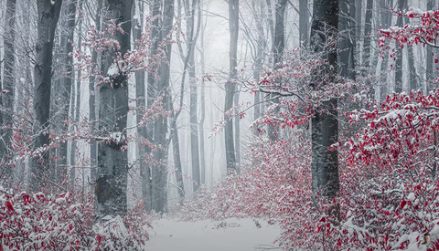 15 Ideas and Tips for Winter Landscape Photography | Fstoppers