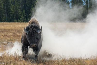 The Story Behind the Viral Photo of a Crying Child at the Border ...