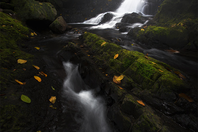 Recent Posts in - Fstoppers