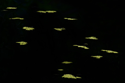 Recent Posts in - Fstoppers