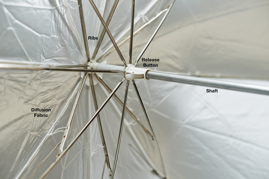 Umbrella 101 for Beginners: Bare Flash vs. Shoot Thru vs. Reflective ...