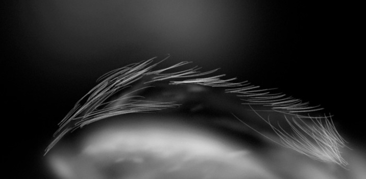 Retouching Eyebrows Like a Makeup Artist in Photoshop | Fstoppers