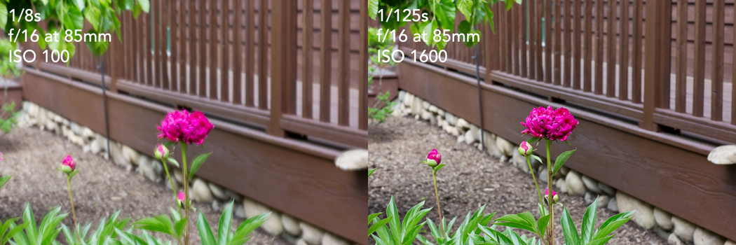 The Exposure Triangle: Understanding How Aperture, Shutter Speed, and ...