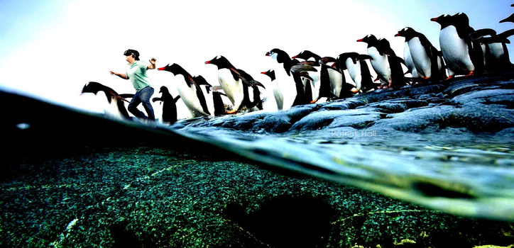 This Time Magazine Cover Is So Bad I Feel Sad And Inspired At Once ...