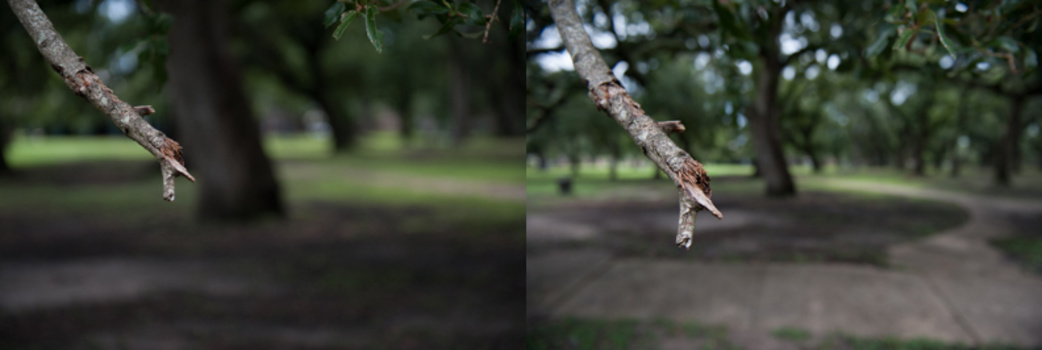 Understanding Depth of Field - It's Not All About Aperture | Fstoppers
