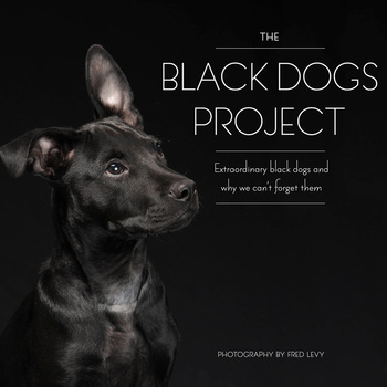 These Black Dogs Will Make Your Eyes Light Up With Glee | Fstoppers