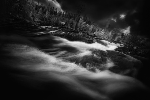The Real Versus the Beautiful (Part 3): The Consensus of the Beautiful ...