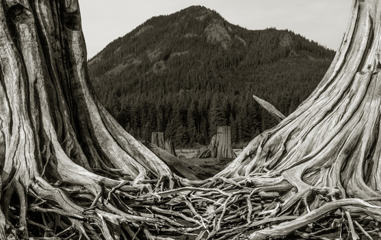 Photographer Creates Haunting Reminder of Why We Need Earth Day | Fstoppers