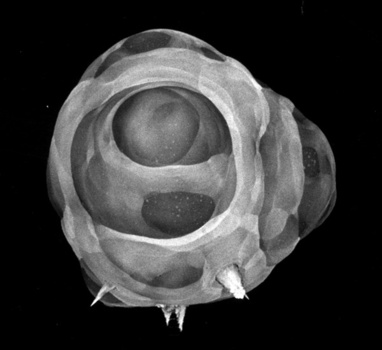 A Shutter Speed of 1/100,000,000 s: Capturing Photos of the Atomic Bomb ...