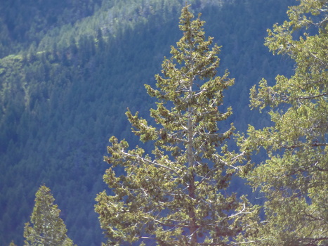 Cyclops: The Pocket-Sized Interchangeable Lens Camera | Fstoppers