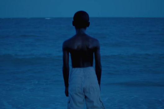 How an Outsider Delivered the Intimate Cinematography of Academy Award ...