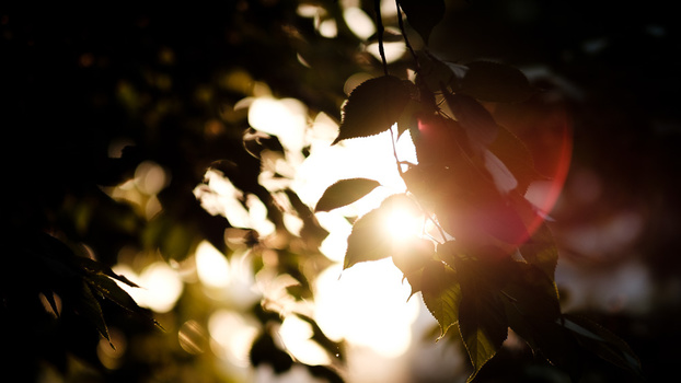 Five Sources of Creative Inspiration | Fstoppers