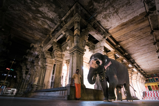 Things to Keep in Mind When Photographing Temples | Fstoppers