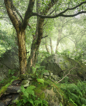 Fine Art Landscape Photography (Part 3): The Introvert Mind Featuring ...