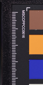 Phase One IQ3 100MP Trichromatic Colors Compared | Fstoppers