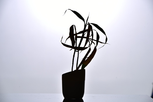 This Strobe Feature Lets You Instantly Create a Mask for Your Product ...