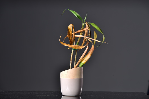 This Strobe Feature Lets You Instantly Create a Mask for Your Product ...