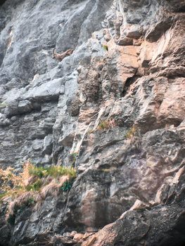 Get More Reach Out of Your Smartphone Camera With the Moment Tele ...